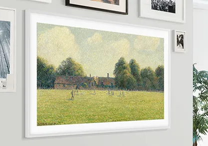 Online Store | Maxis