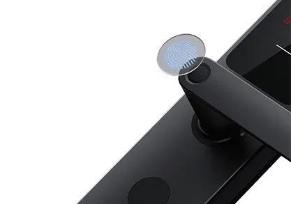 Online Store | Maxis