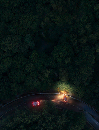 Online Store | Maxis